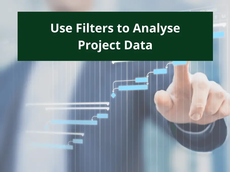 Use Filters to Analyse Project Data