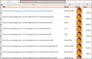 Excel IMAGE Function - Computergaga
